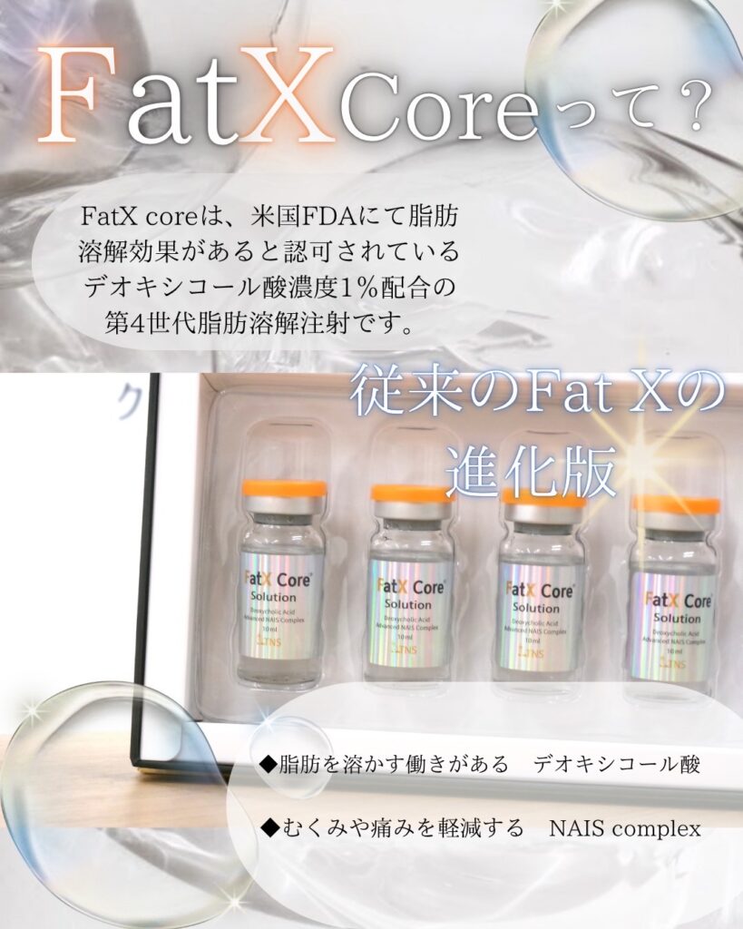 FatX Core