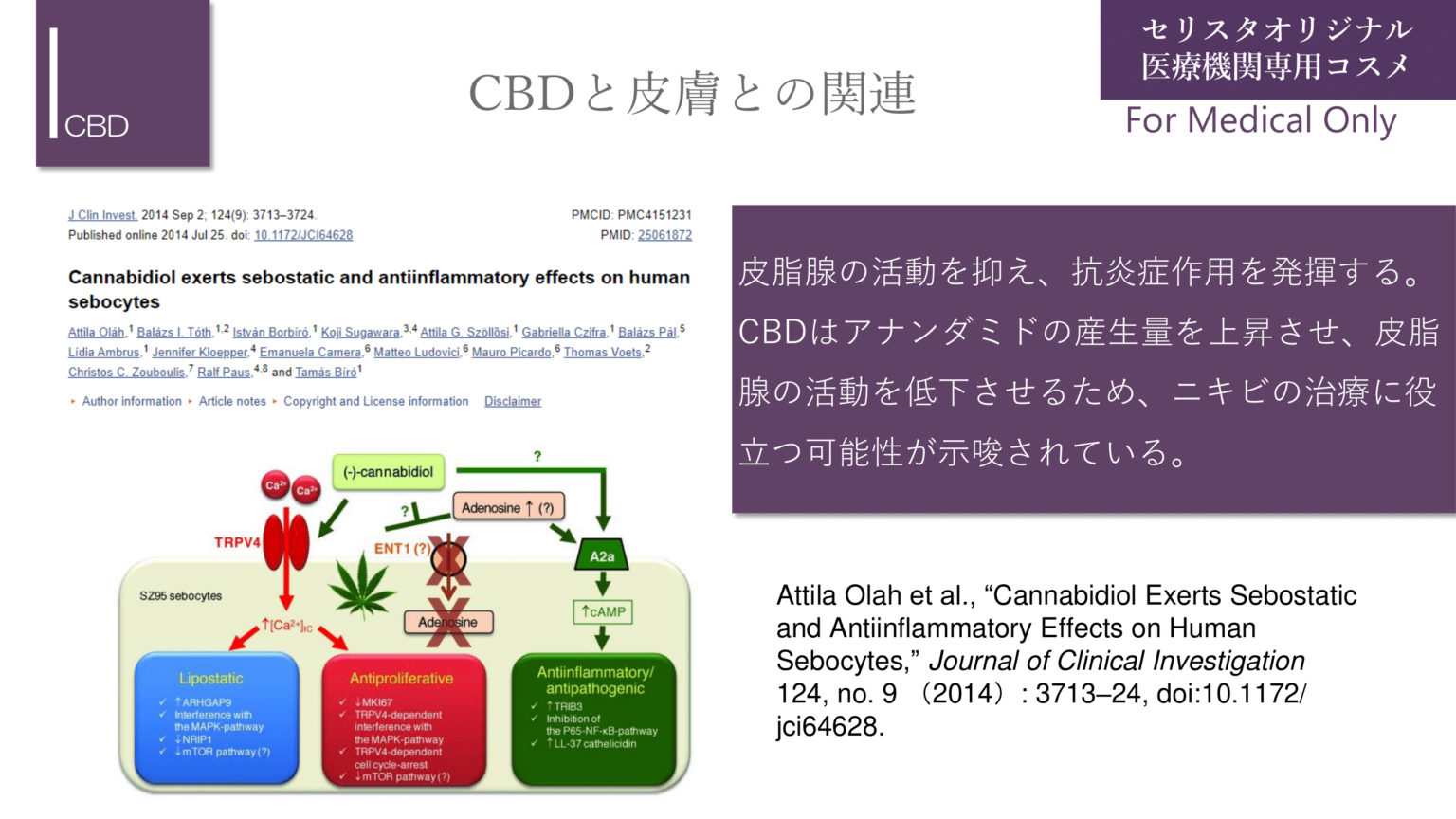 医療用CBDクリームが驚きの美肌効果！ | クララ美容皮膚科 那覇院